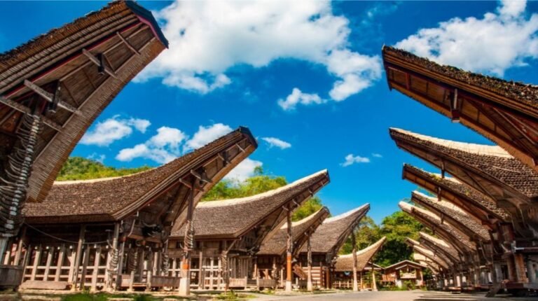 Peti Mati Suku Toraja: Tradisi Penguburan yang Sakral dan Unik ...